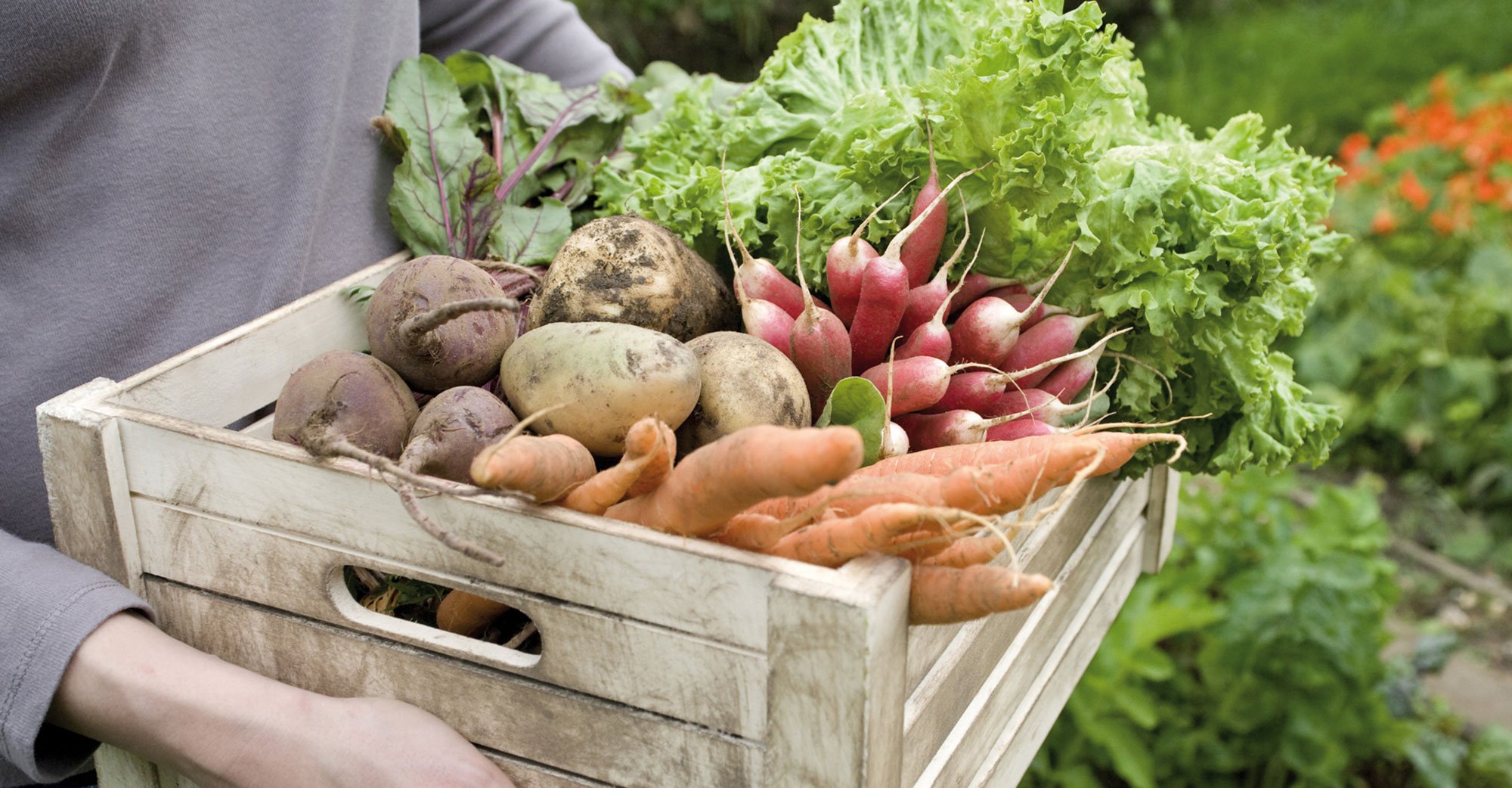 Produkte - Marker Unternehmen Frische - Obst- und Gemüse-Großhandel